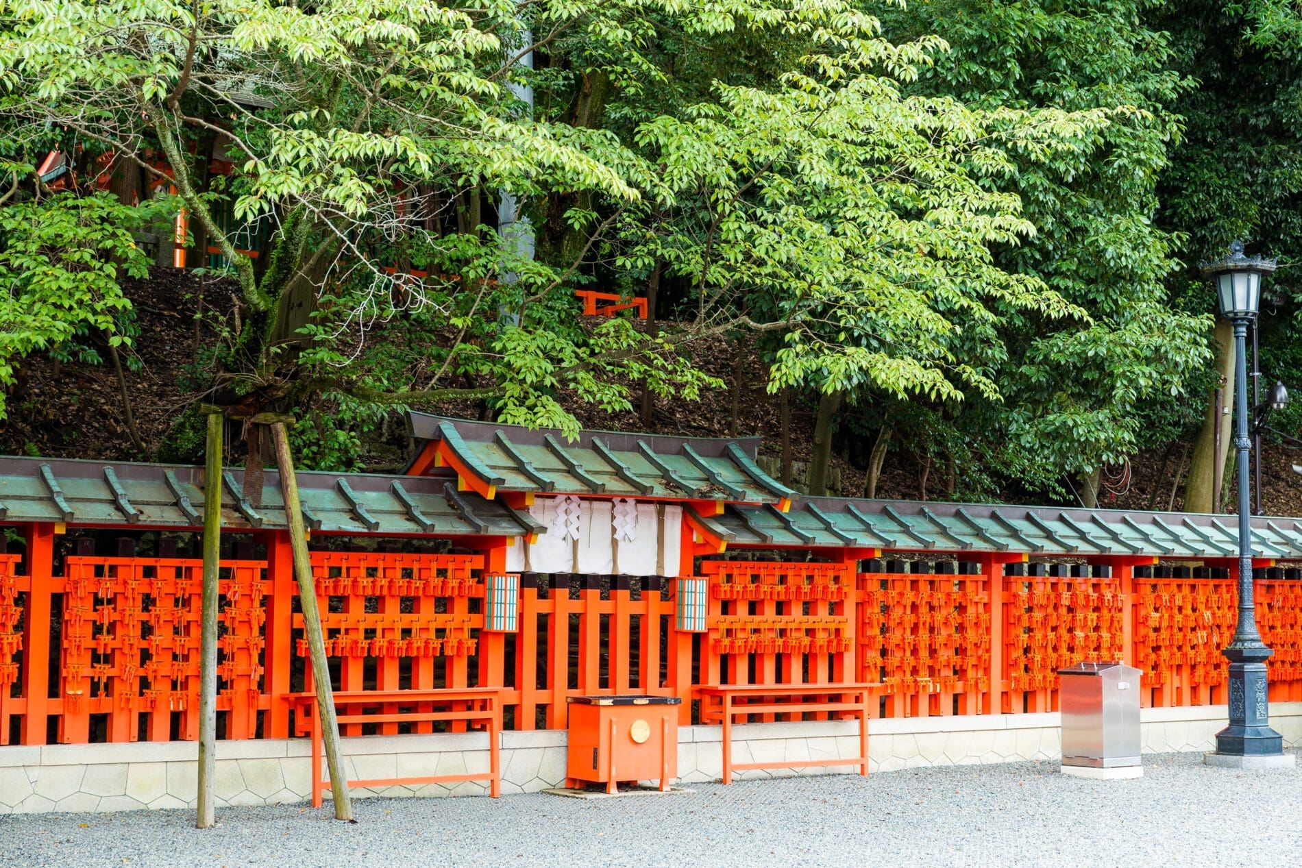 The Best And #1 Japanese Cedar Fence Shop In My Texas Fence